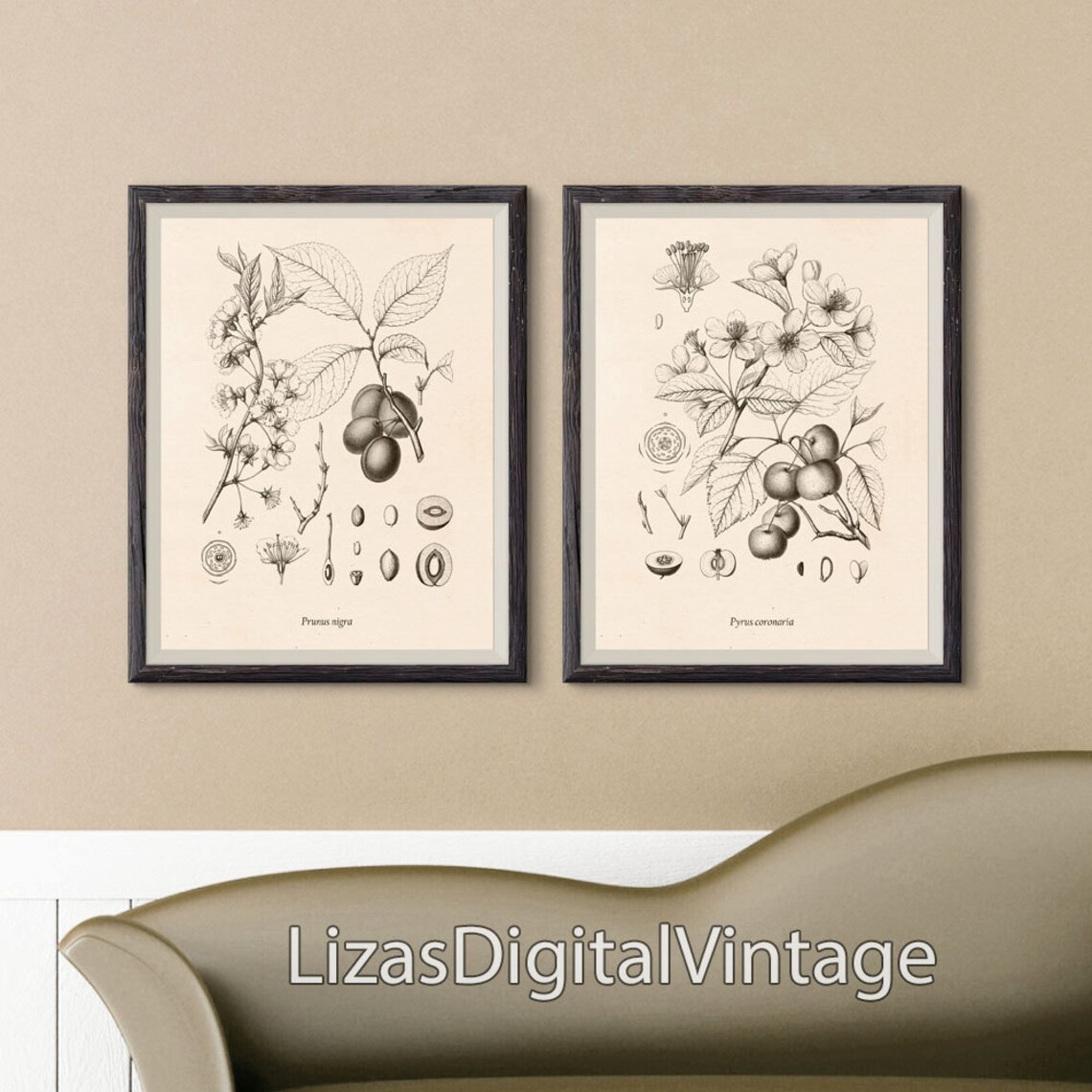 Set of 2 prints Large botanical prints Print set Wall art | Etsy