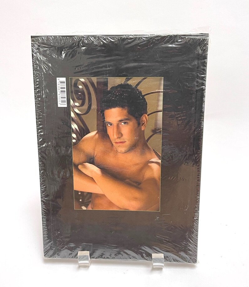 Champions by Falcon 2009 Hardcover MINT Condition in Original Plastic ...