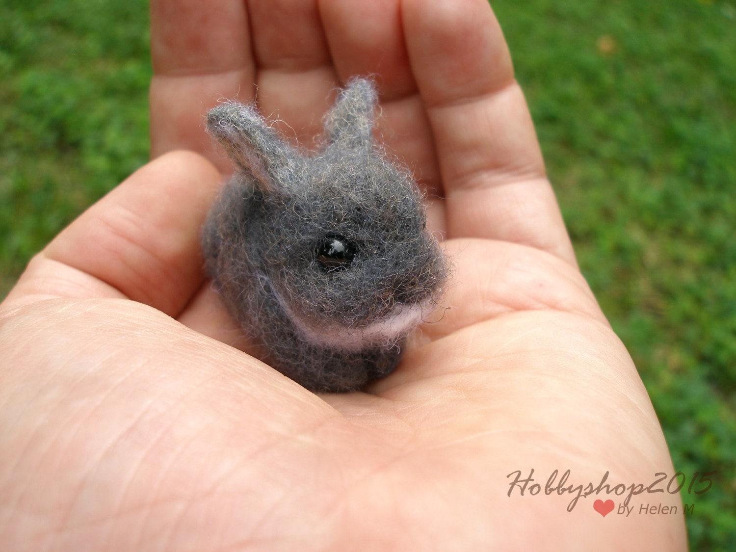 Worlds Smallest Rabbit