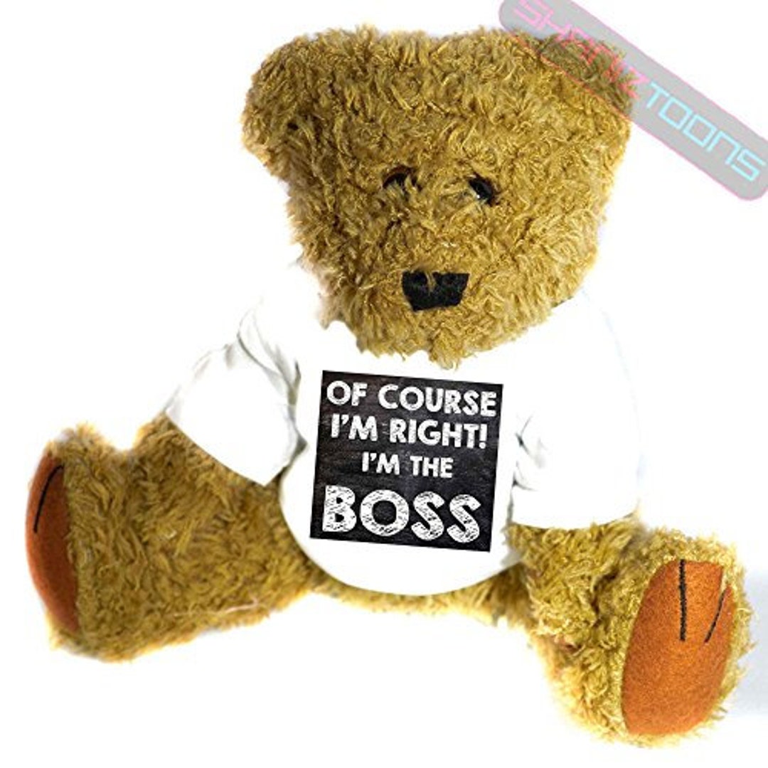 Boss Office Novelty Gift Teddy Bear - Etsy