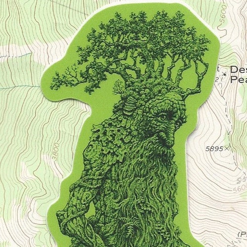 Wandering Ent Art Sticker - Etsy