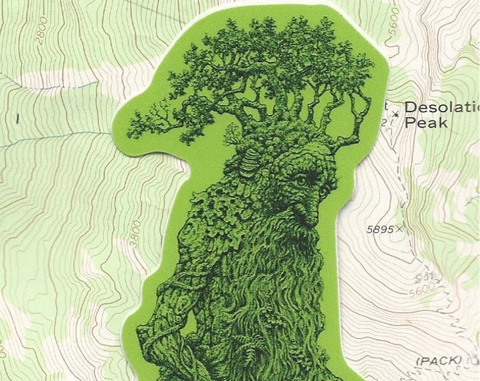 Lord of the Rings Ent Inspired Don't Be Hasty 8 In. by 10 In. Wood Sign ...