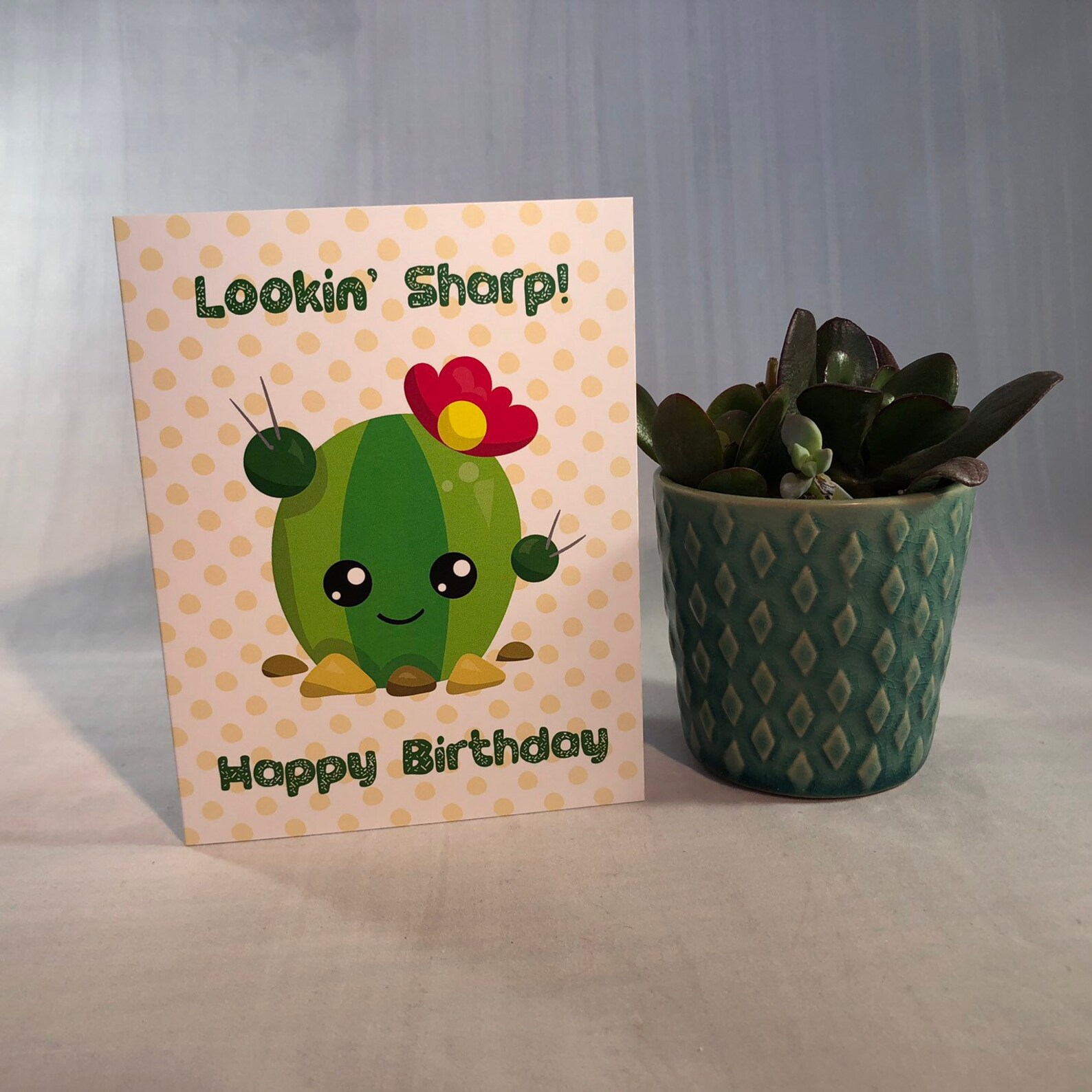 Cactus Themed Birthday Card Collection - Etsy