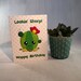 Cactus Themed Birthday Card Collection - Etsy
