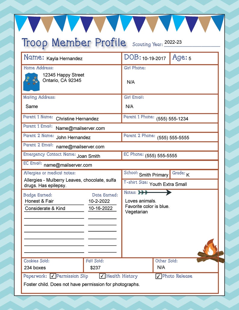 Daisy Troop Member Profile Form - Etsy