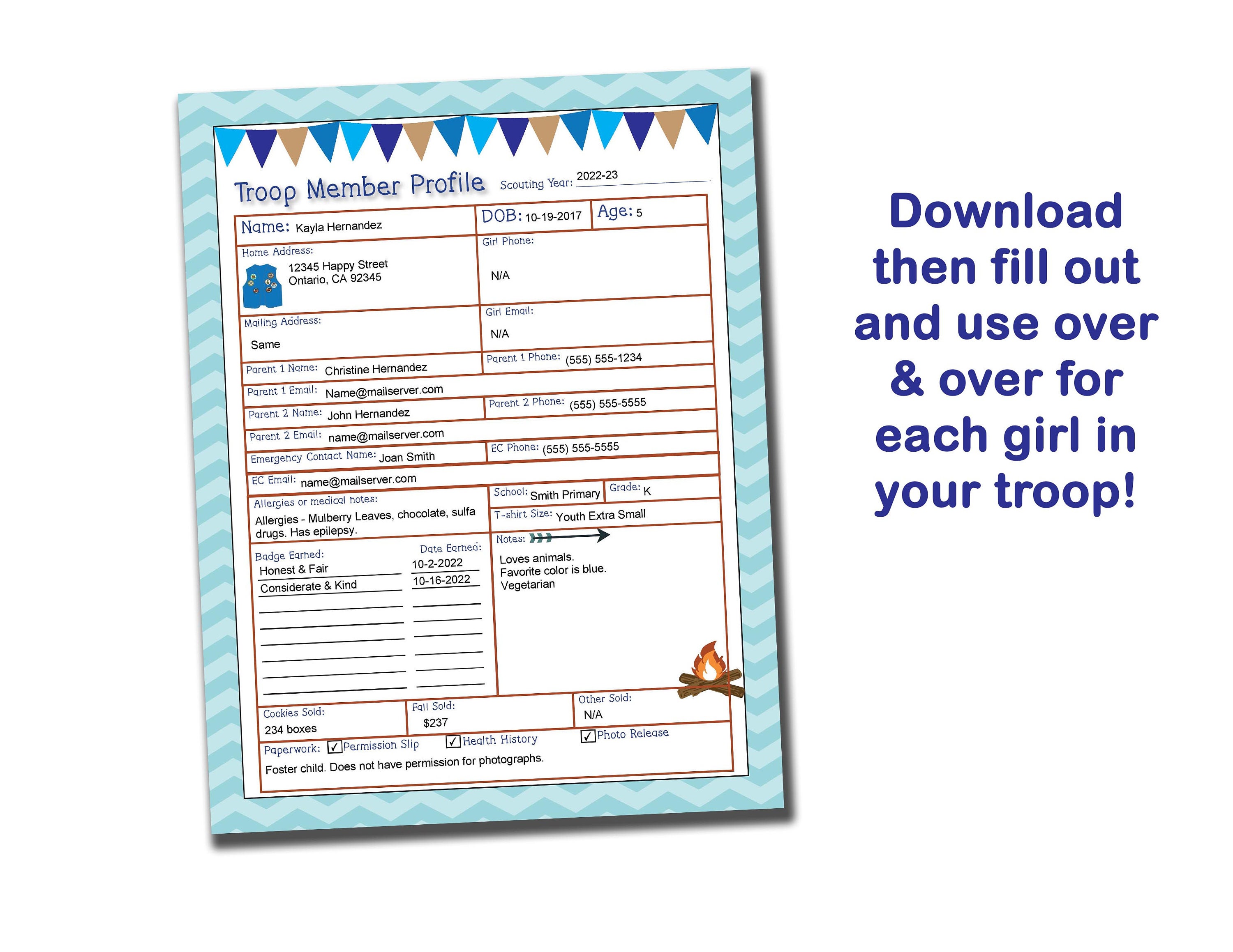 Daisy Troop Member Profile Form - Etsy