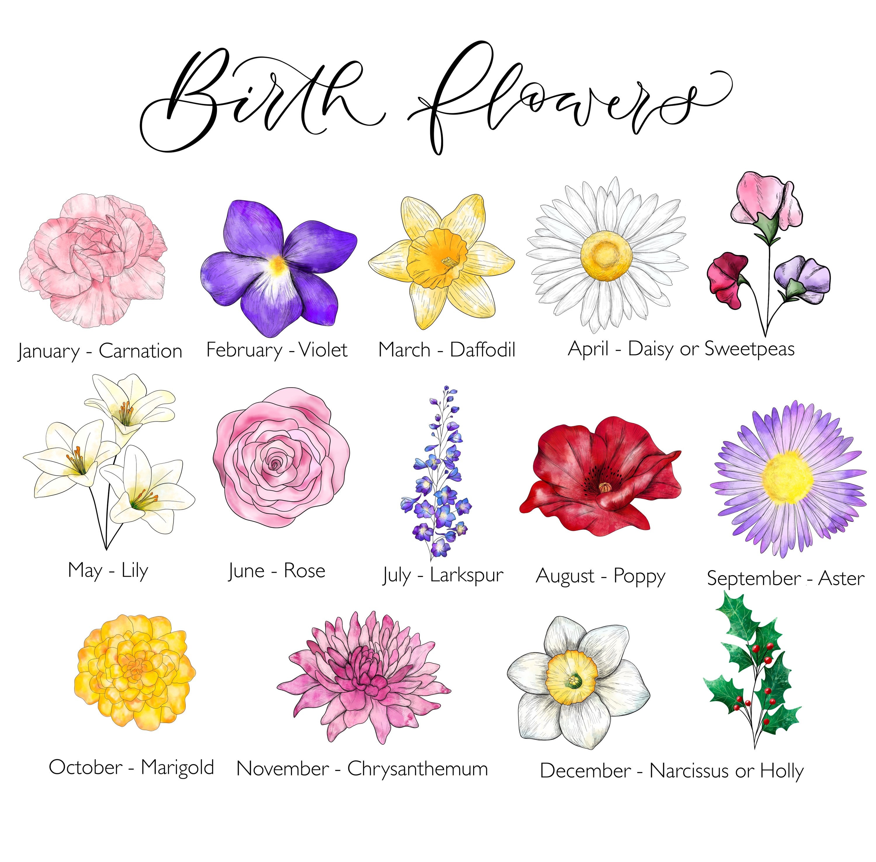 November Birth Flower Print - Chrysanthemum Birth Flower Print | Custom ...