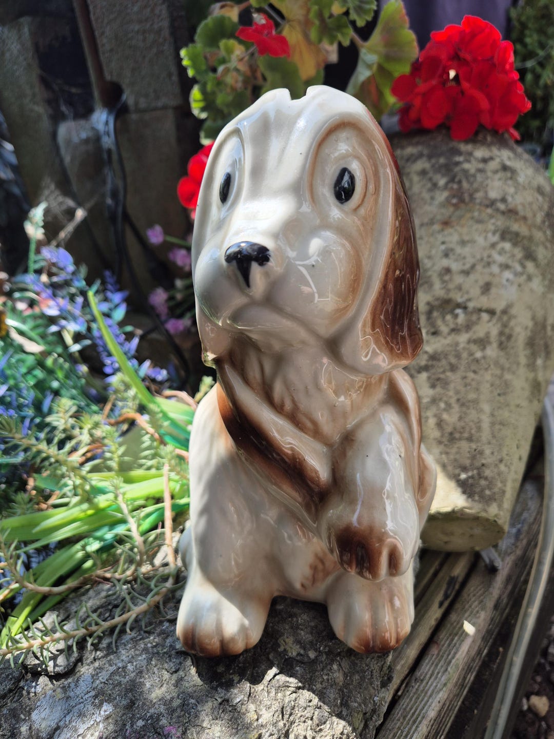Moss.bros Vintage Dog Money Box 1960s. - Etsy UK