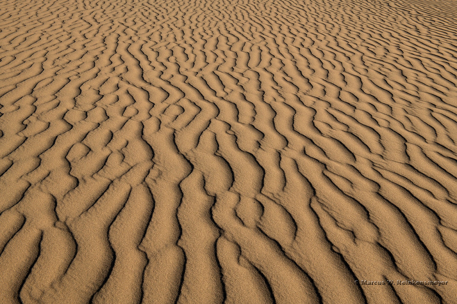 Endless Sand Dune Ripples at Eureka Dunes, Death Valley National Park ...