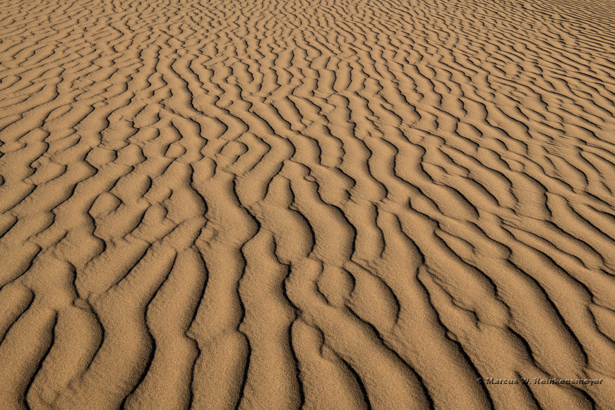Endless Sand Dune Ripples at Eureka Dunes, Death Valley National Park ...