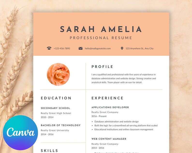 Professional Resume Template, Resume Template Modern, Simple Resume, CV ...