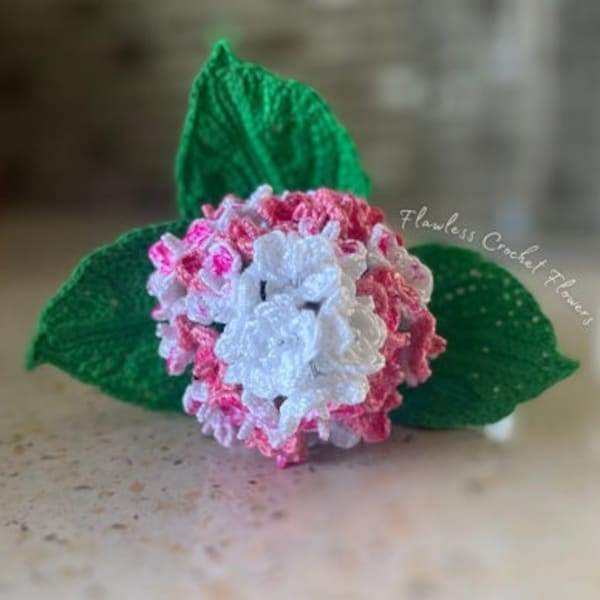 Vanilla Strawberry Hydrangea - Etsy