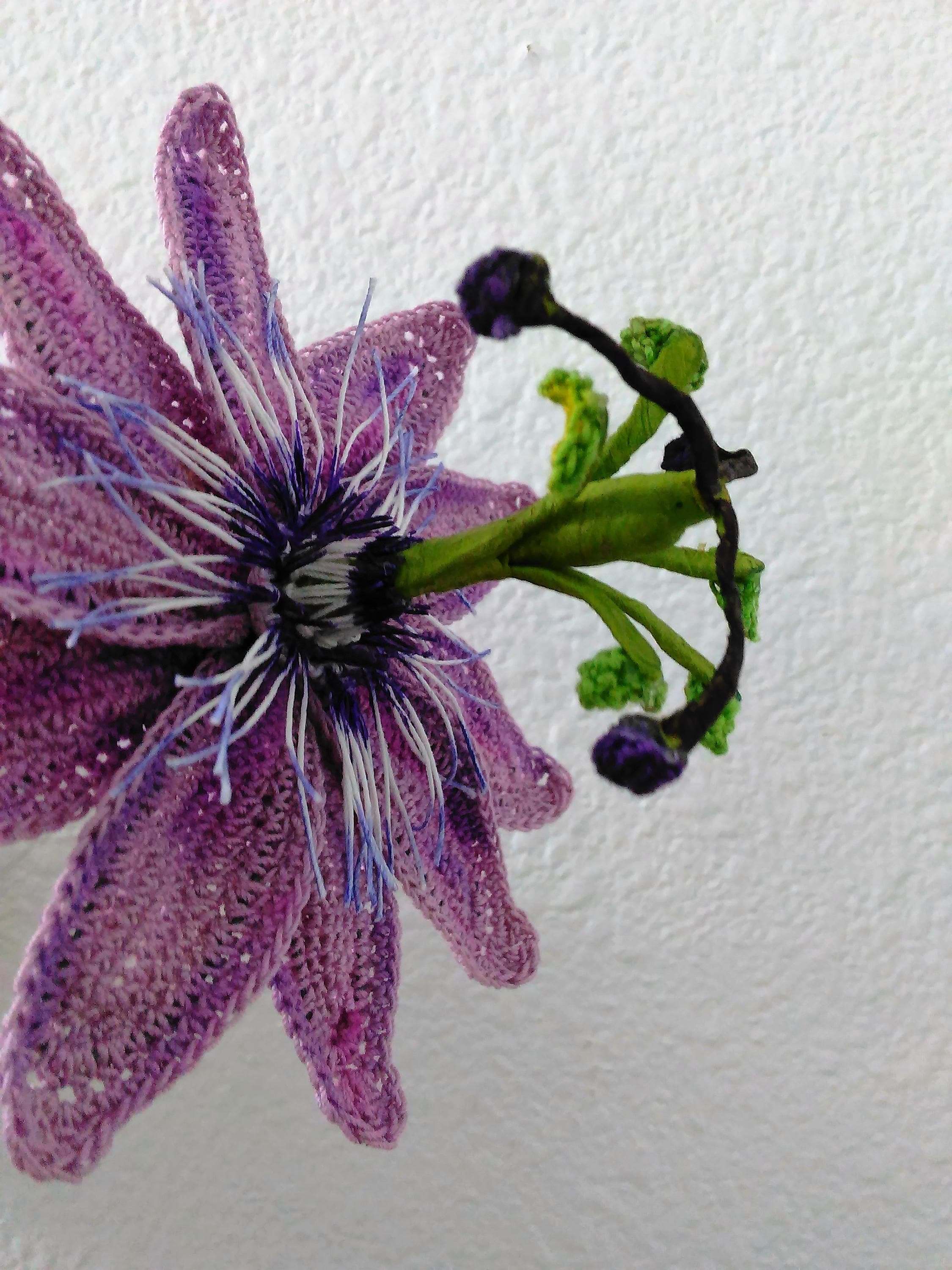 Passion Flower Pattern Passion Flower Plant Crochet Flowers - Etsy Canada