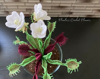 Crochet Pattern Venus Flytrap Pot Plant Renirumi - Etsy
