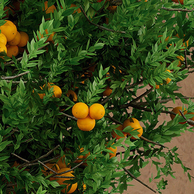 Orange Tree in Stone Niche Peel & Stick Door Mural Sticker - Etsy