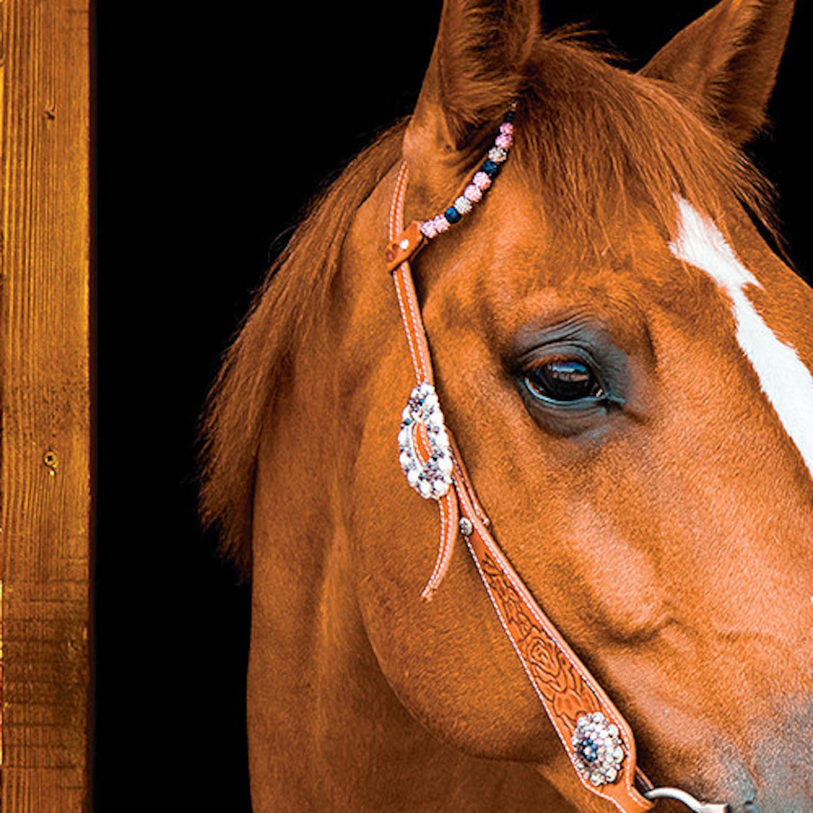 Horse in Stall - Sticker for Door, Wall or Fridge. Peel & Stick ...