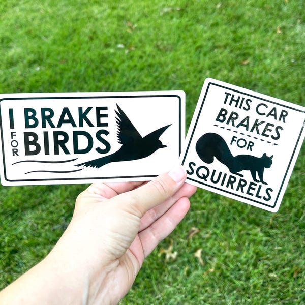 Most Popular Decals - Etsy