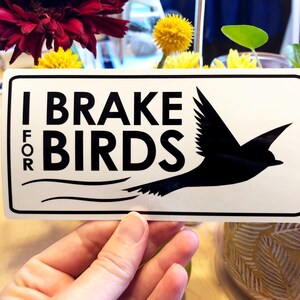 The Ultimate Birding Stickers Bundle - 5 Stickers for Birders, A ...
