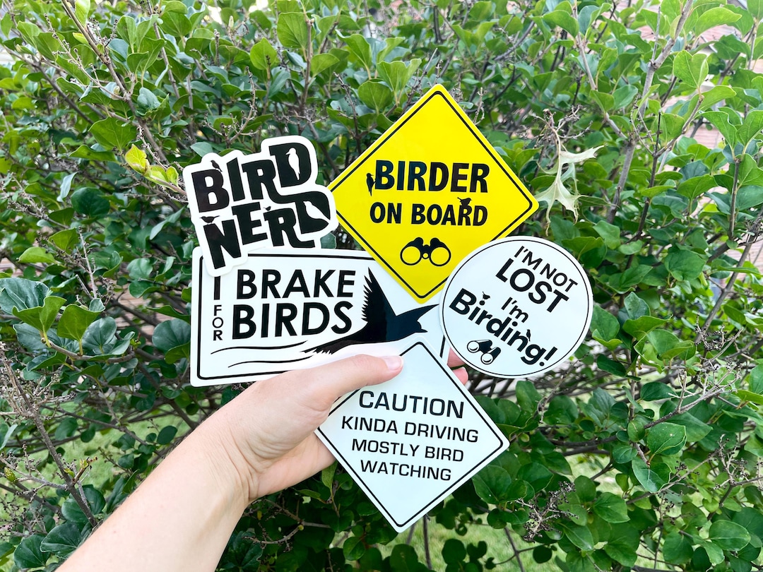 The Ultimate Birding Stickers Bundle - 5 Stickers for Birders, A ...