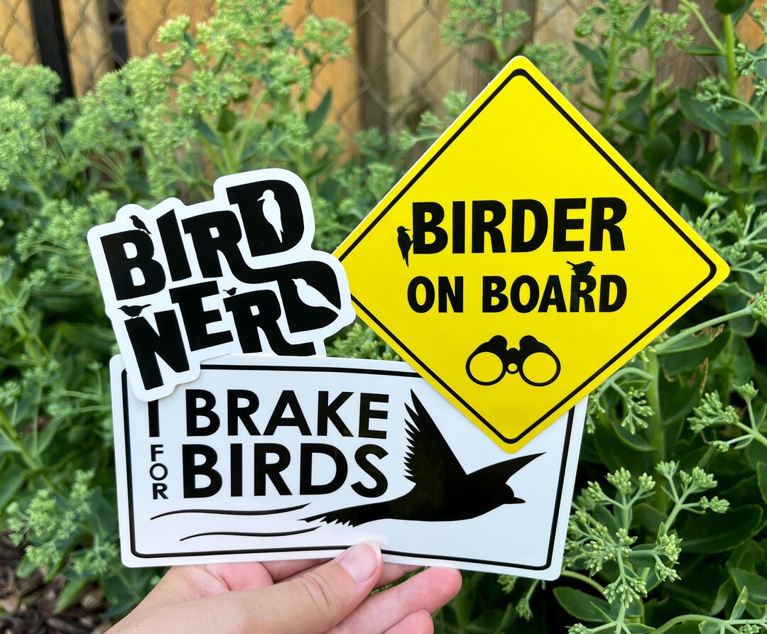 3 Fun Birding Stickers Bundle - Bird Nerd, I Brake for Birds, and ...