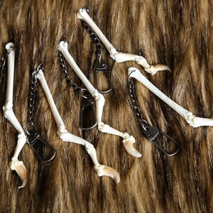 Fox Toe Bone Keychain - Etsy