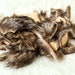 Raccoon Scrap Fur Pieces - Etsy