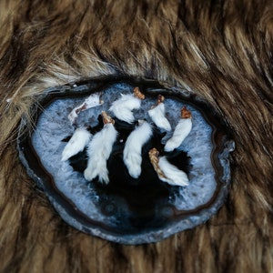 Dry- Preserved White Ermine Paw - Etsy