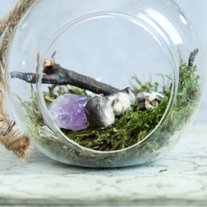 Real Mouse Pup - Round Glass Terrarium - Etsy