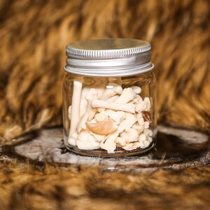 Raccoon Paw Bone Jar - Etsy