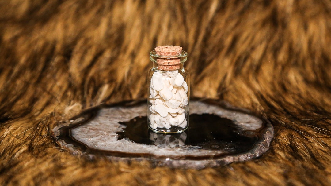 Juvenile Red Fox Bones Jar - Etsy