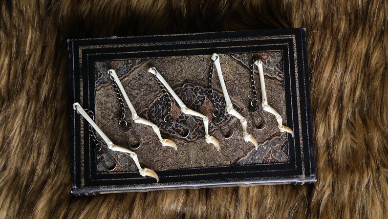 Fox Toe Bone Keychain - Etsy