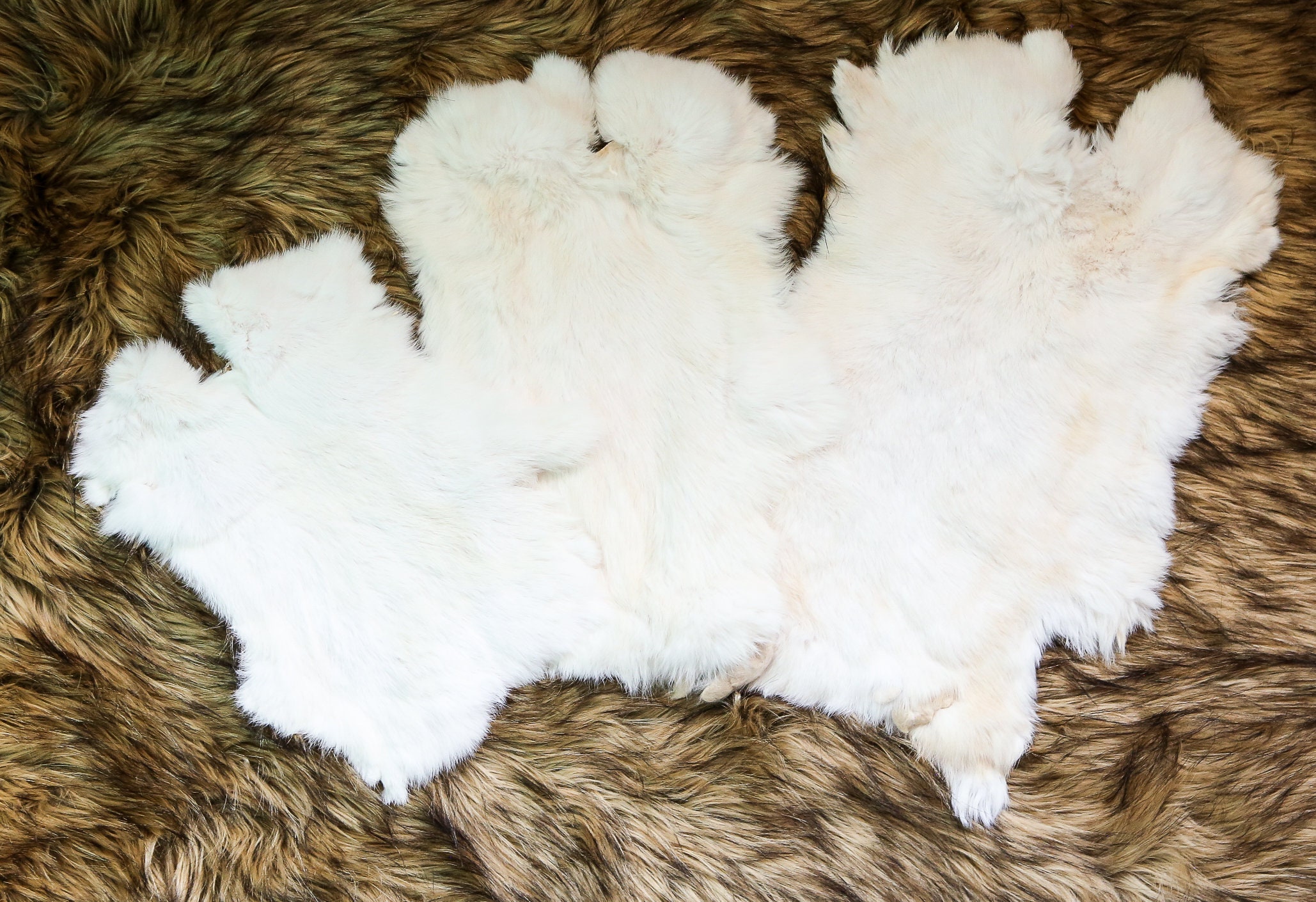 Real WHITE Craft Grade Rabbit Pelt - Etsy