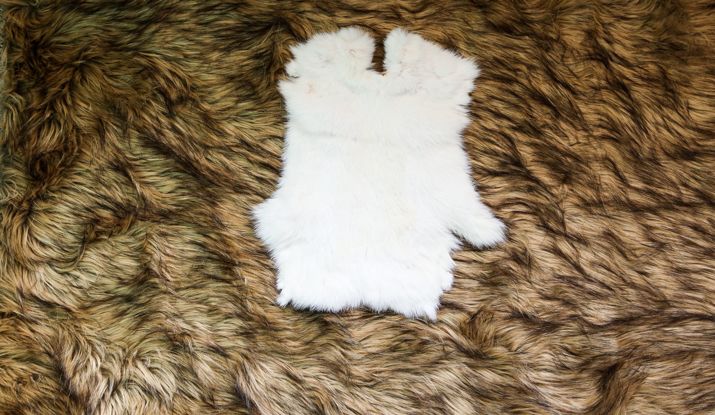 Real WHITE Craft Grade Rabbit Pelt - Etsy