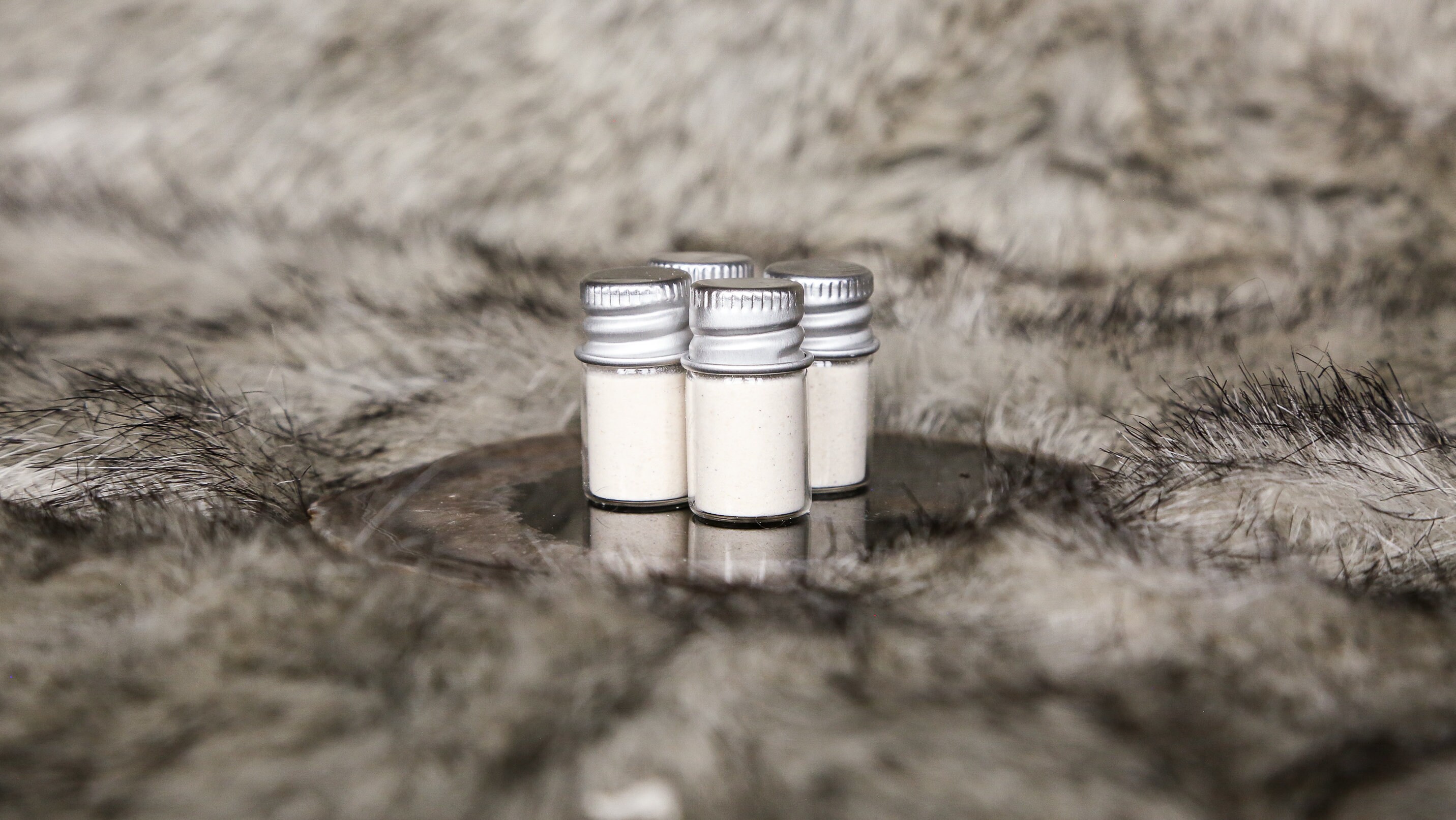 Bone Dust Vial - Etsy