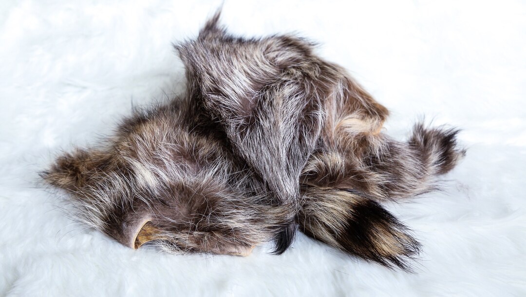 Raccoon Scrap Fur Pieces - Etsy