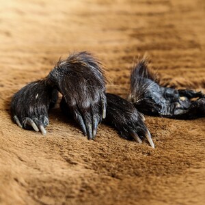 Real Dry- Preserved Groundhog Paw - Etsy