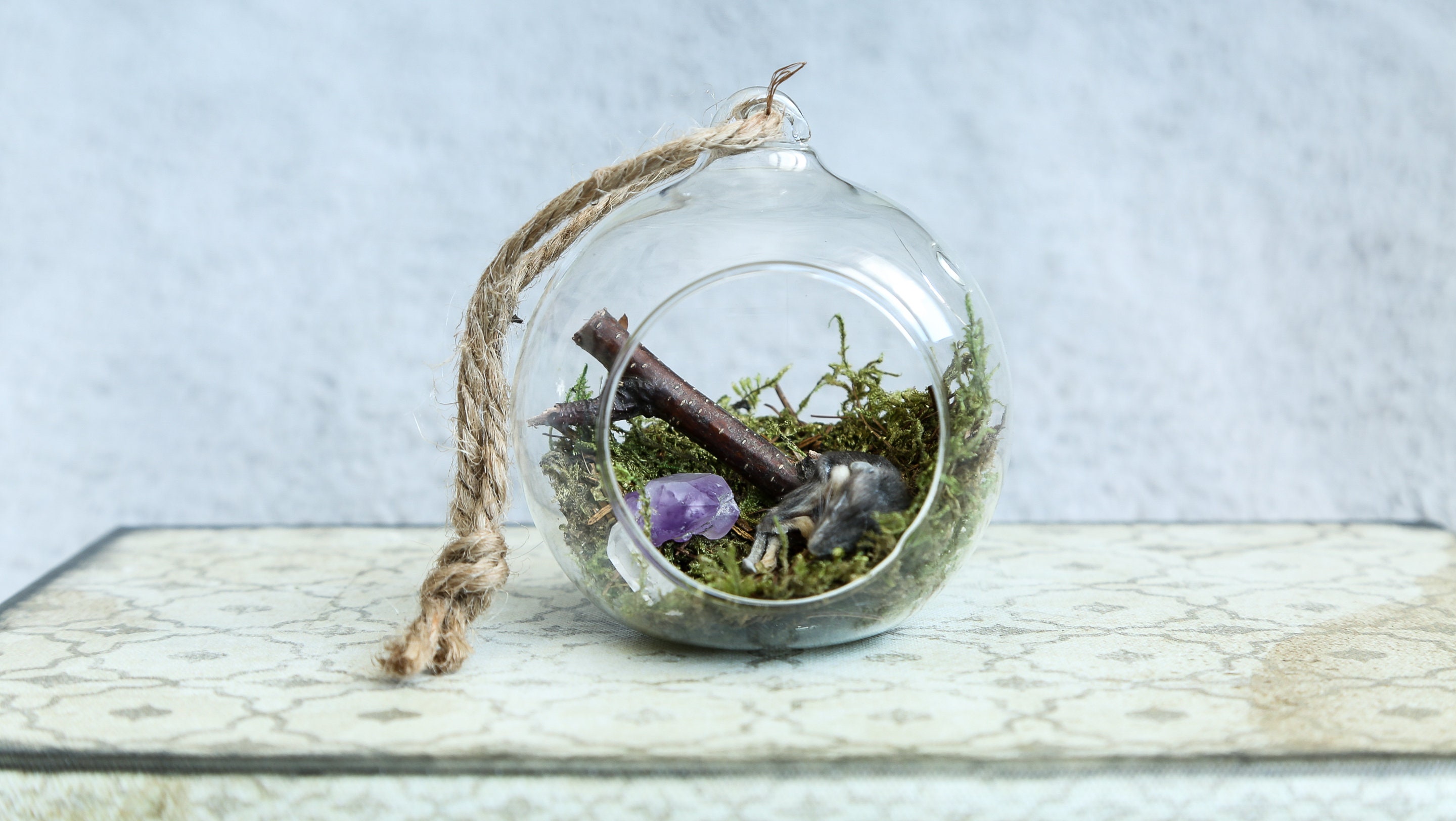 Real Mouse Pup - Round Glass Terrarium - Etsy