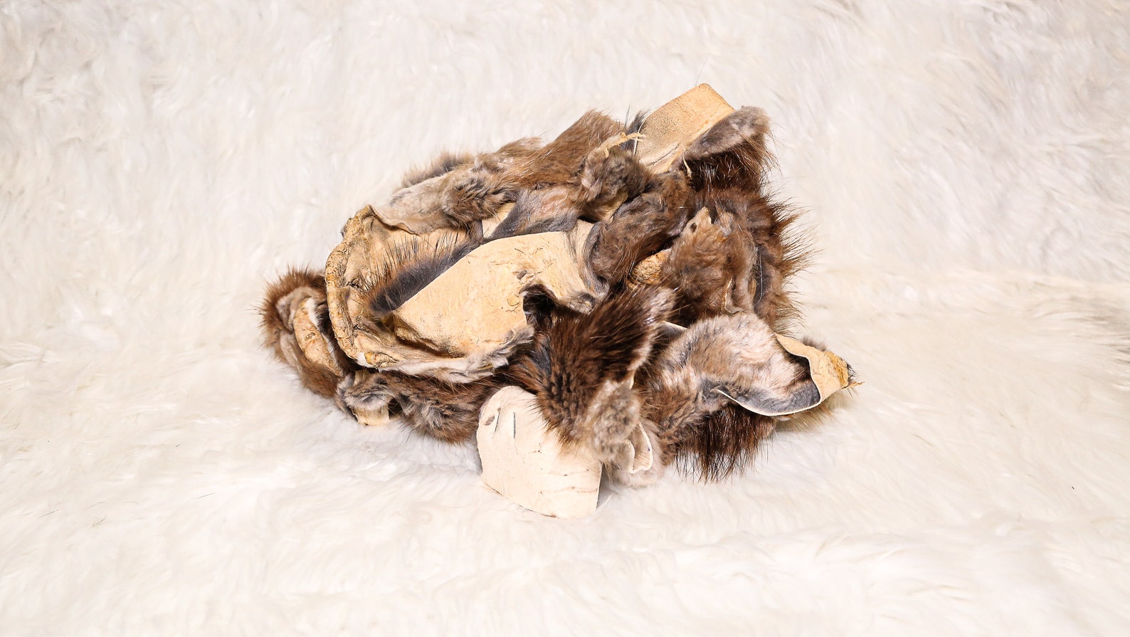 Muskrat Scrap Fur Pieces - Etsy