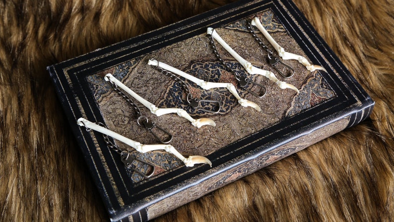 Fox Toe Bone Keychain - Etsy