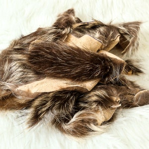 Raccoon Scrap Fur Pieces - Etsy