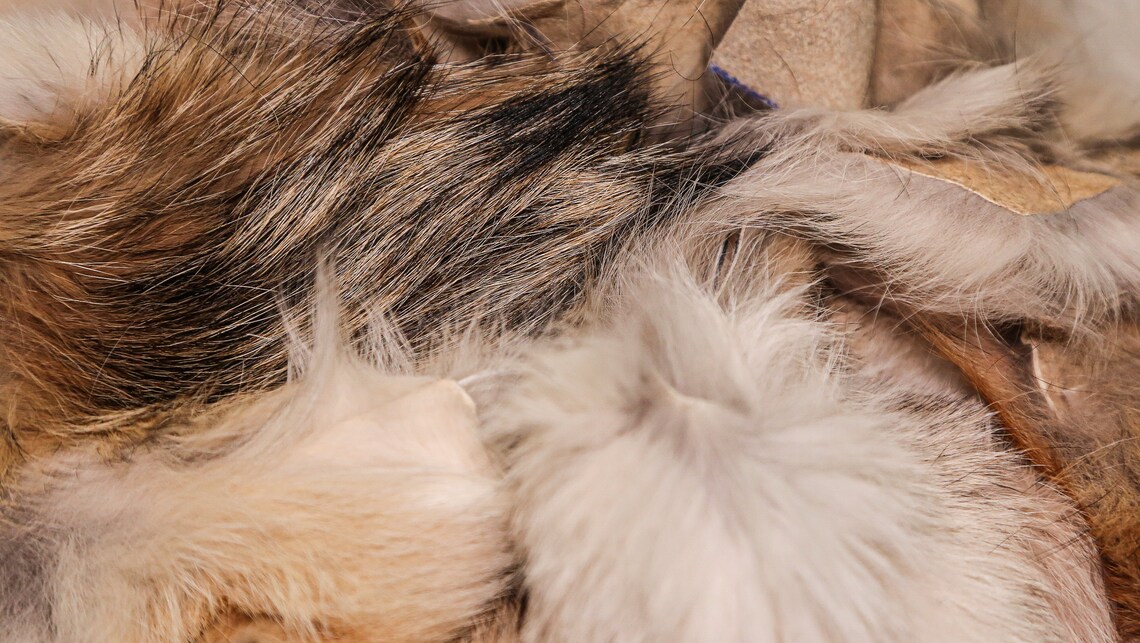 Coyote Scrap Fur Pieces - Etsy