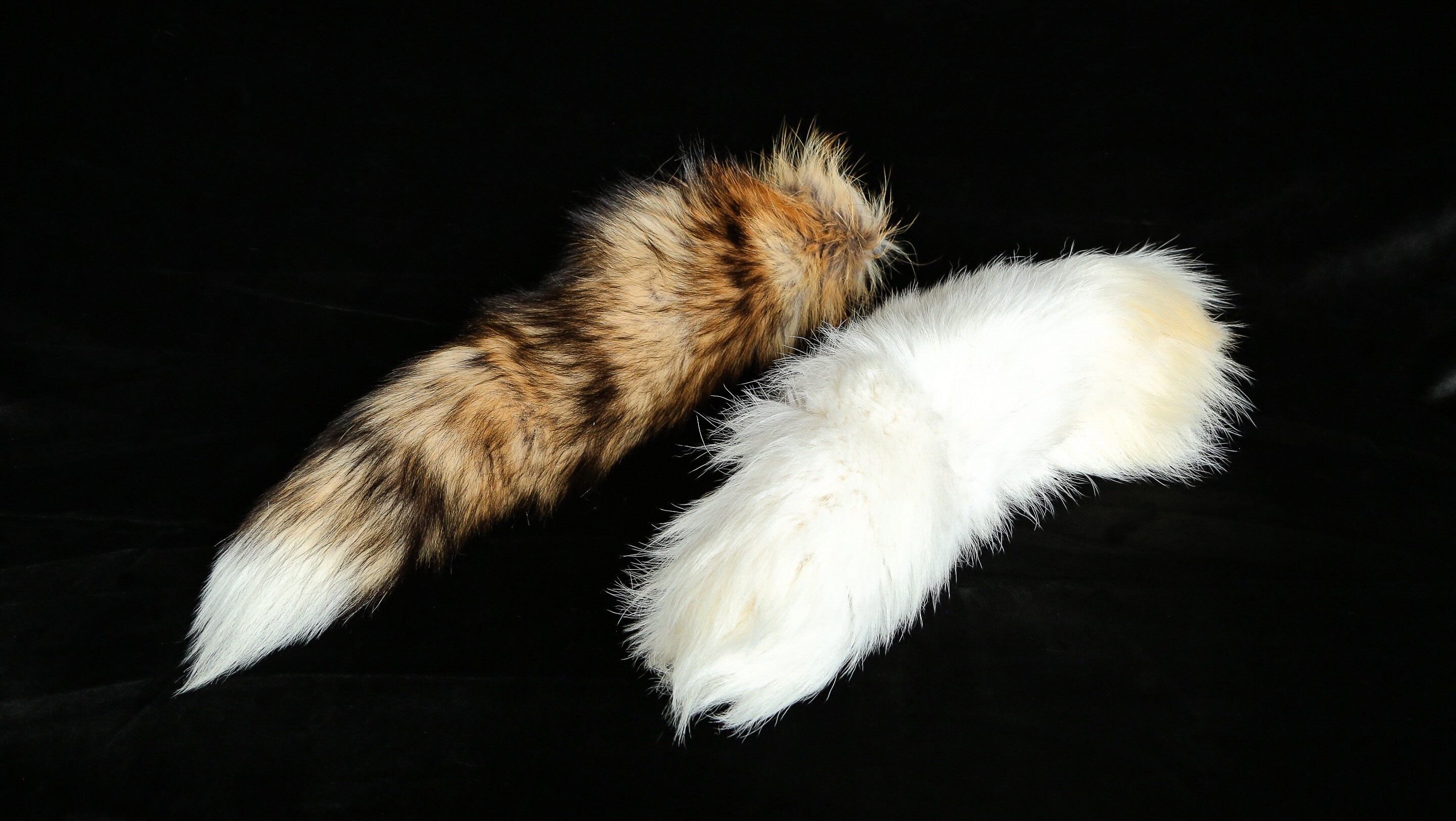 Real Tails Keychains - Etsy