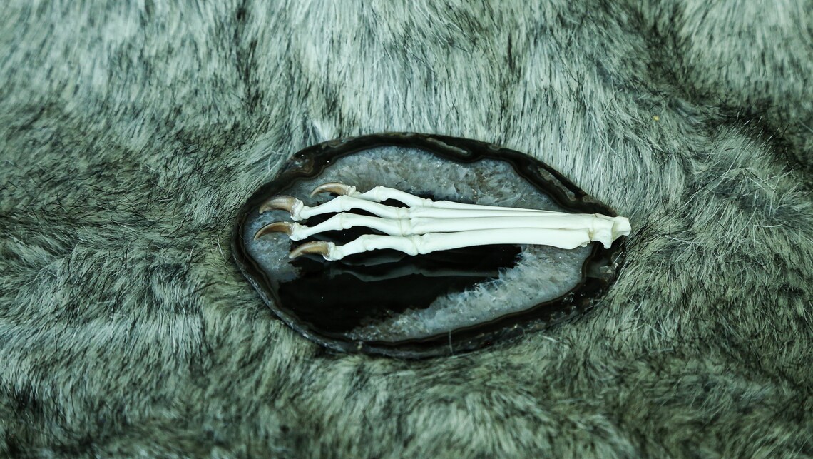 Red Fox Paw Articulation - Etsy