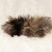 Raccoon Scrap Fur Pieces - Dyed Red - Etsy