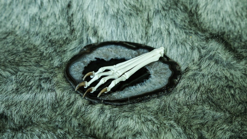 Red Fox Paw Articulation - Etsy