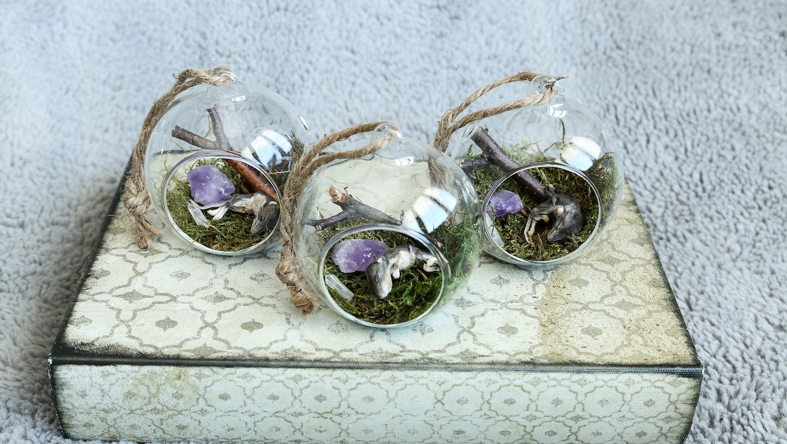 Real Mouse Pup - Round Glass Terrarium - Etsy