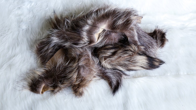 Raccoon Scrap Fur Pieces - Etsy