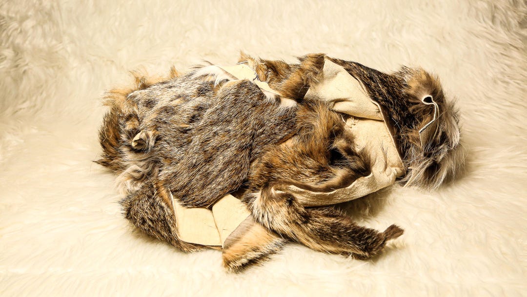 Bobcat/lynx Scrap Fur Pieces - Etsy