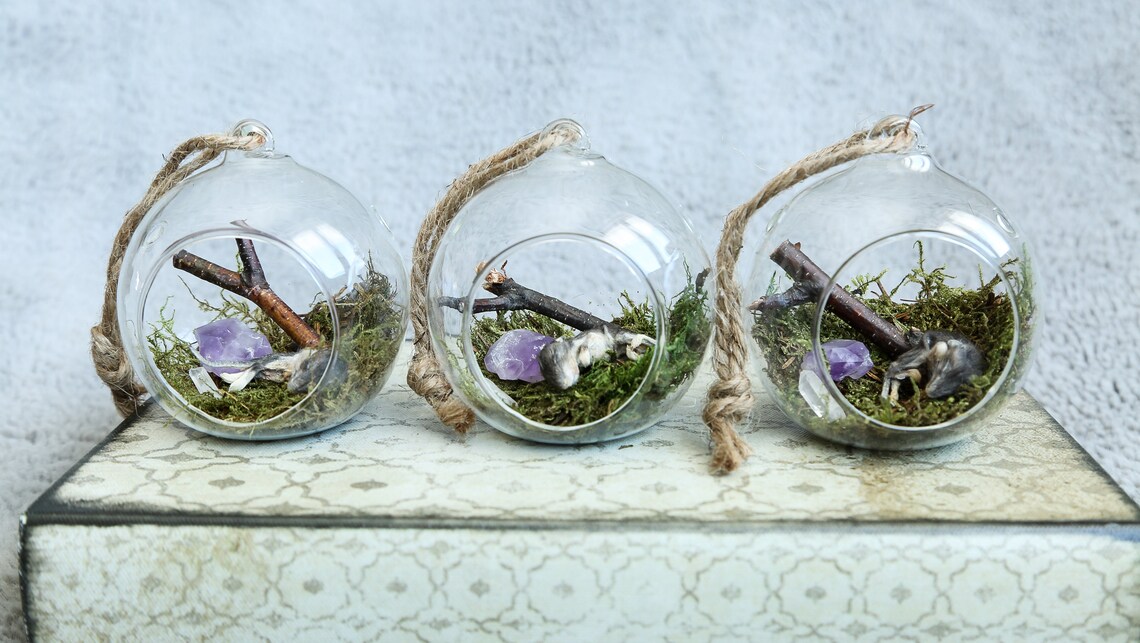 Real Mouse Pup - Round Glass Terrarium - Etsy