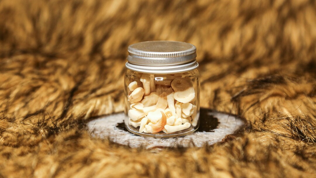 Raccoon Leg Bone Jar - Etsy